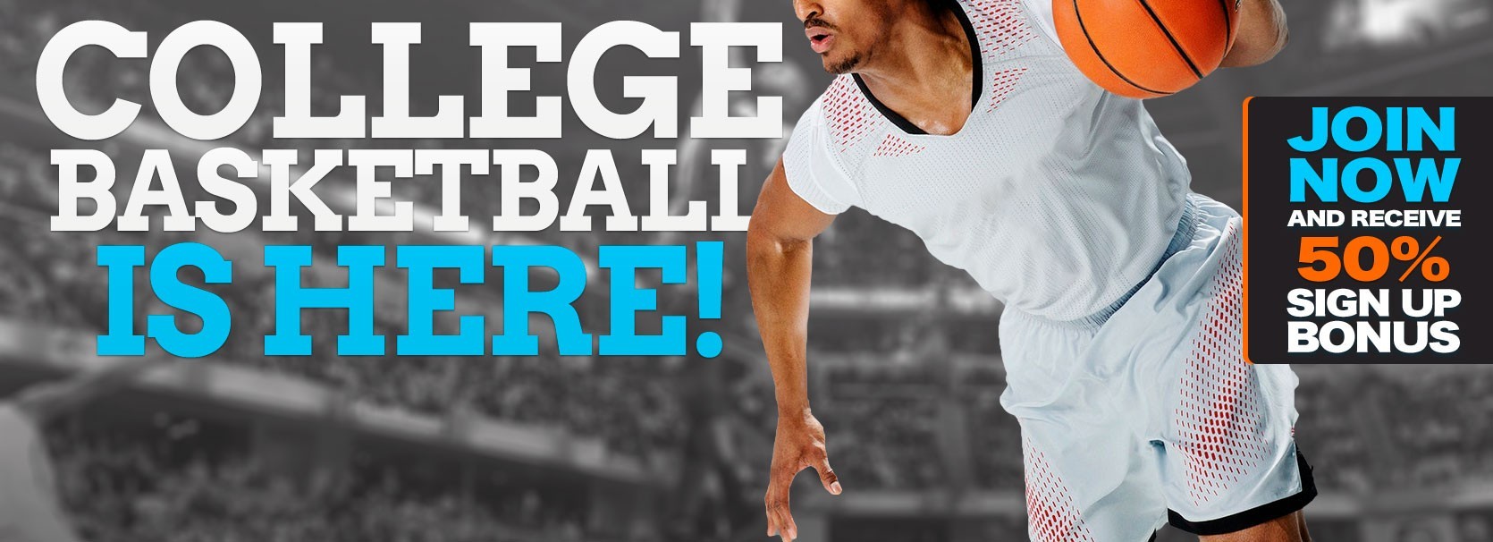 Bet on Sports, Sports Gambling | Sportsbook | Horse Betting at SBG Global