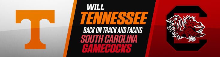 Tennessee Volunteers vs South Carolina Gamecocks Odds & Picks